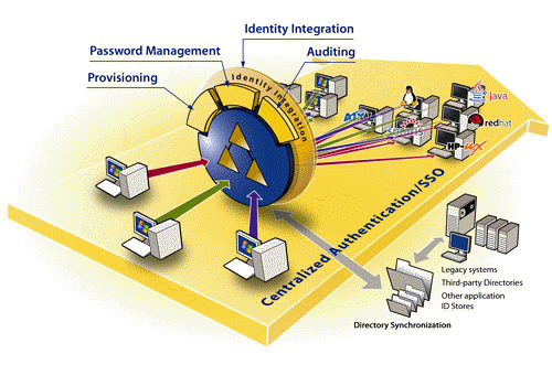 idm_diagram_web | eSchool News