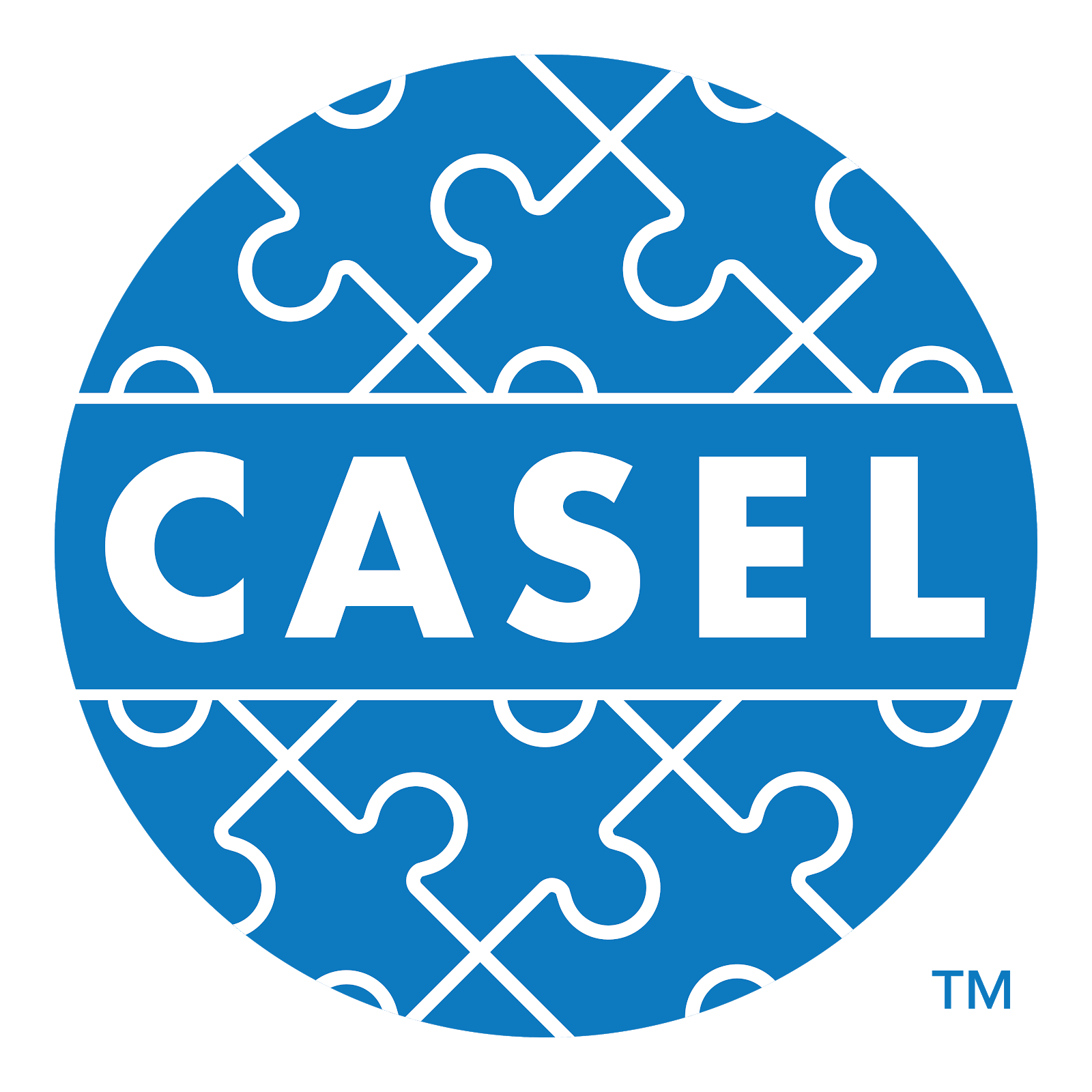 CASEL Announces 2020 Award Recipients for Excellence in Social and ...