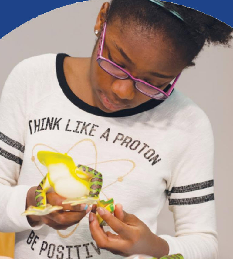 The Council of State Science Supervisors and Flinn Scientific ...